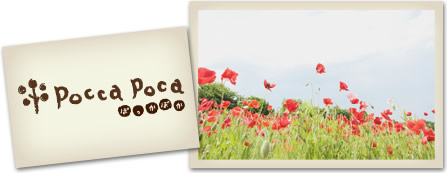 Pocca Pocaについて | Pocca Poca